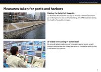 TOKYO Resilience Project